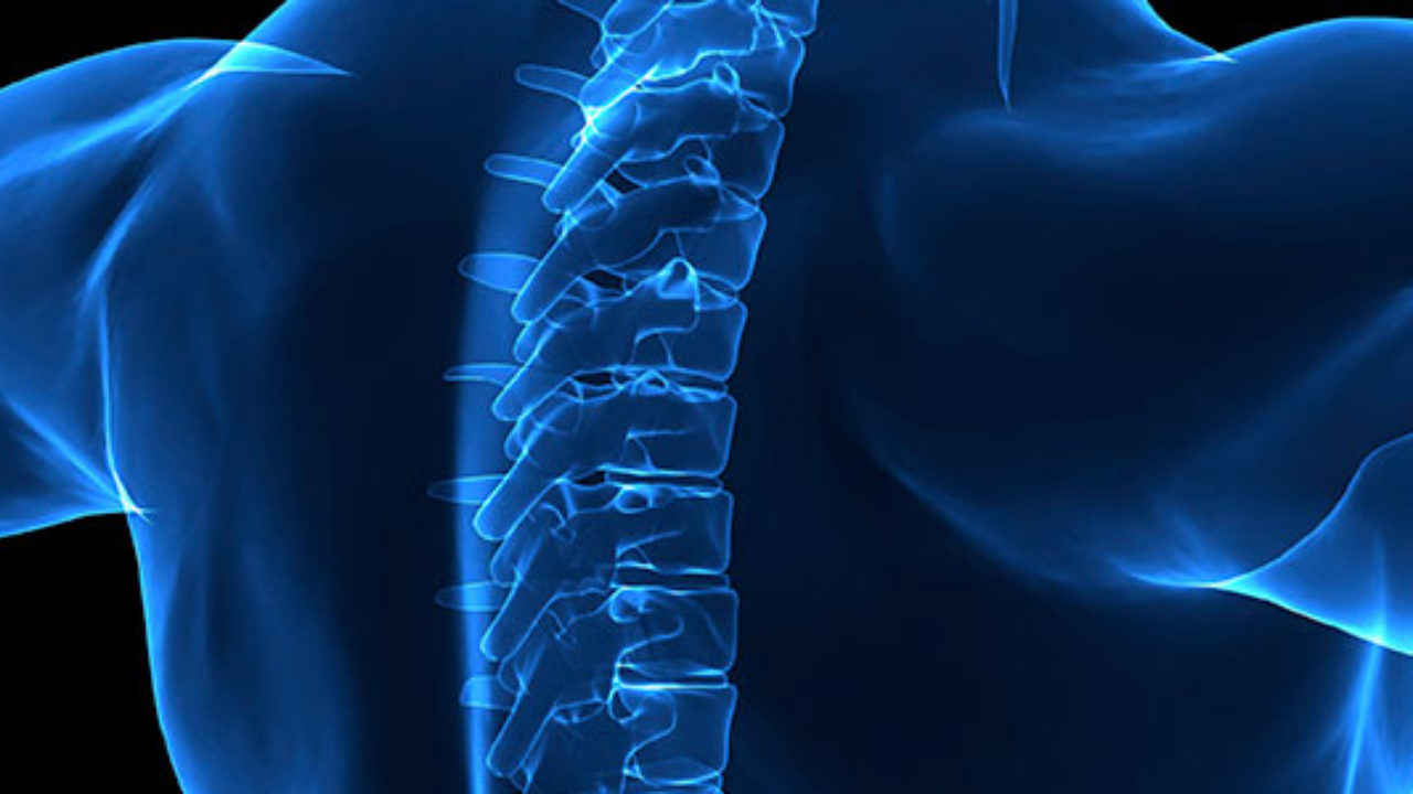 Coluna Vertebral: Entenda toda a sua estrutura! - ITC Vertebral ...