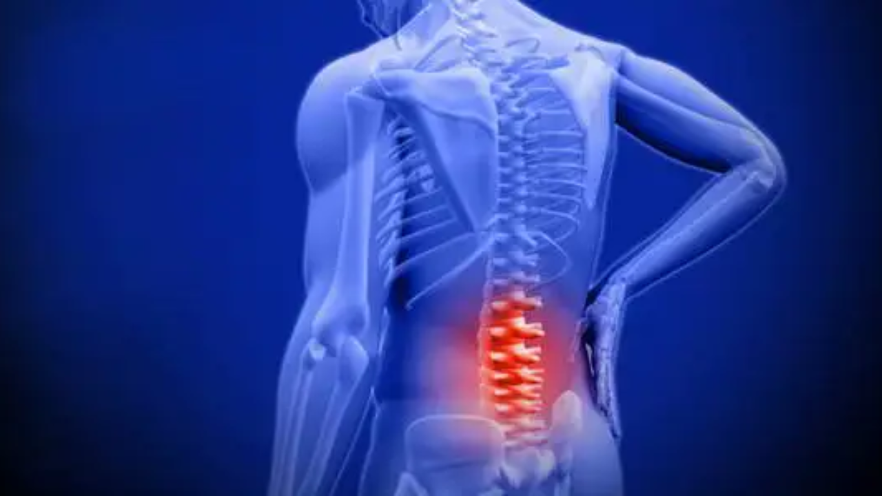 O que é Modic tipo I, Modic tipo II ou Modic tipo III? - equaco.com